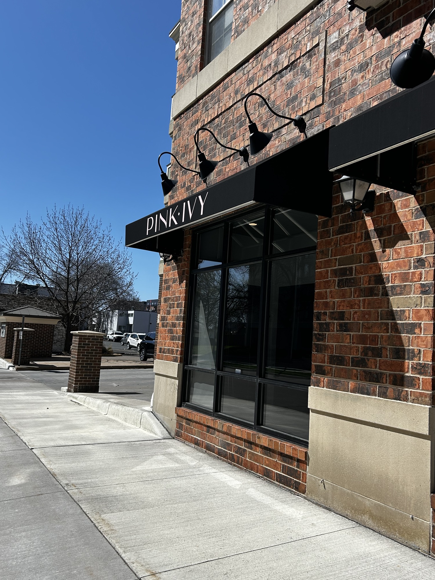 Welcome to Hopkins, Pink Ivy – FamilyFindsMN